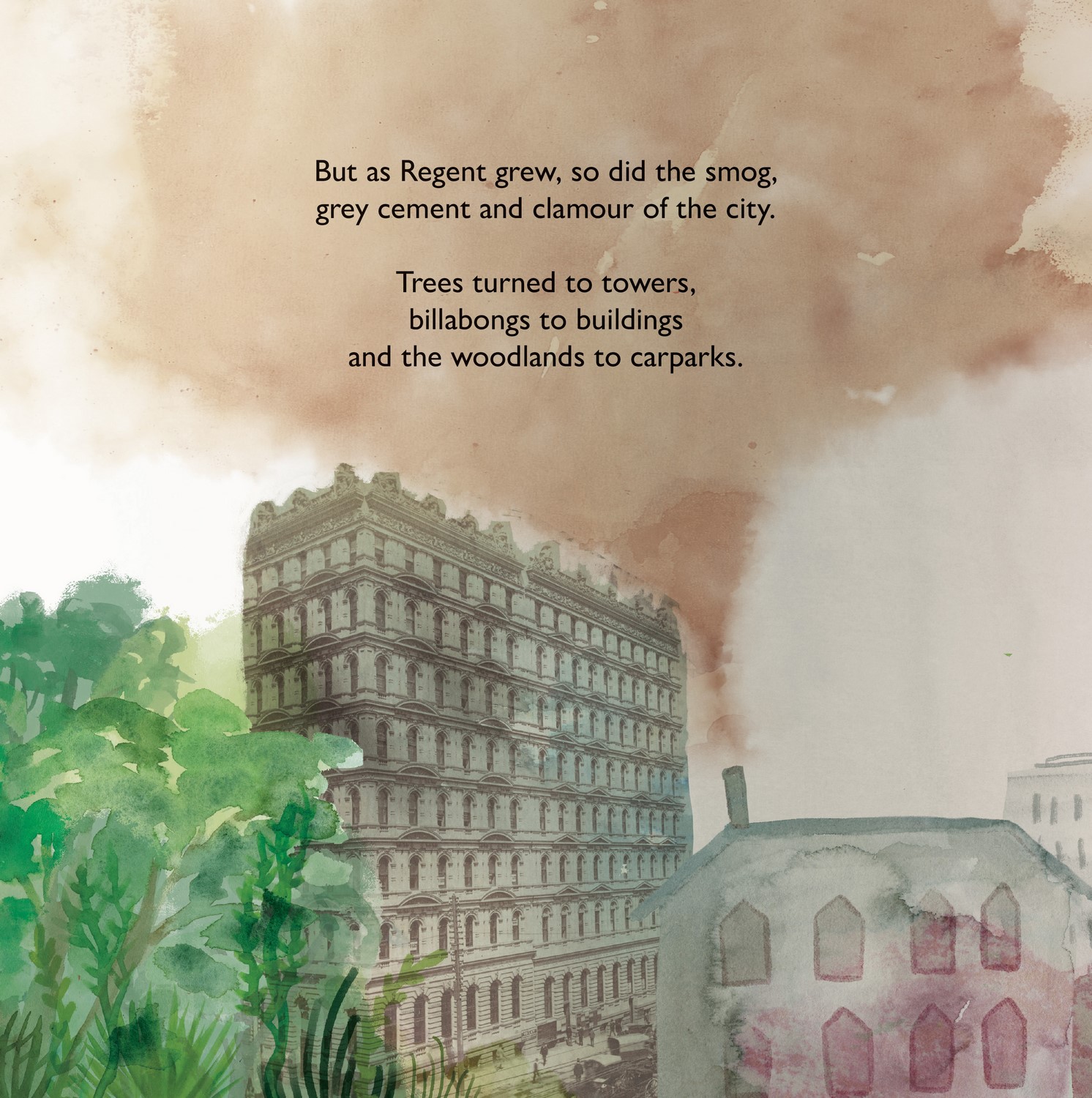 The Forgotten Song, Saving the Regent Honeyeater by Coral Vass ...