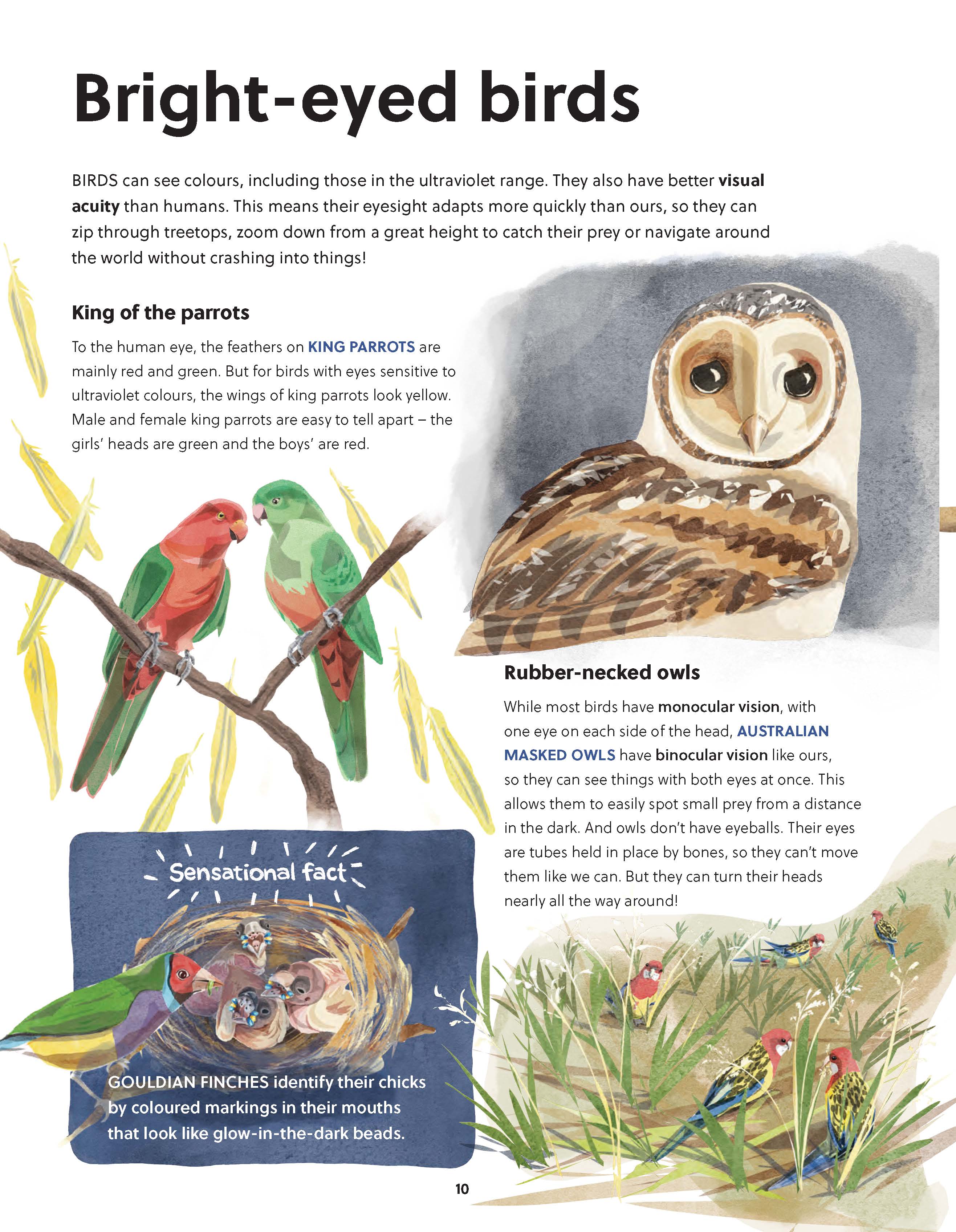 Sensational Australian Animals by Stephanie Owen Reeder | 9781486316892 ...