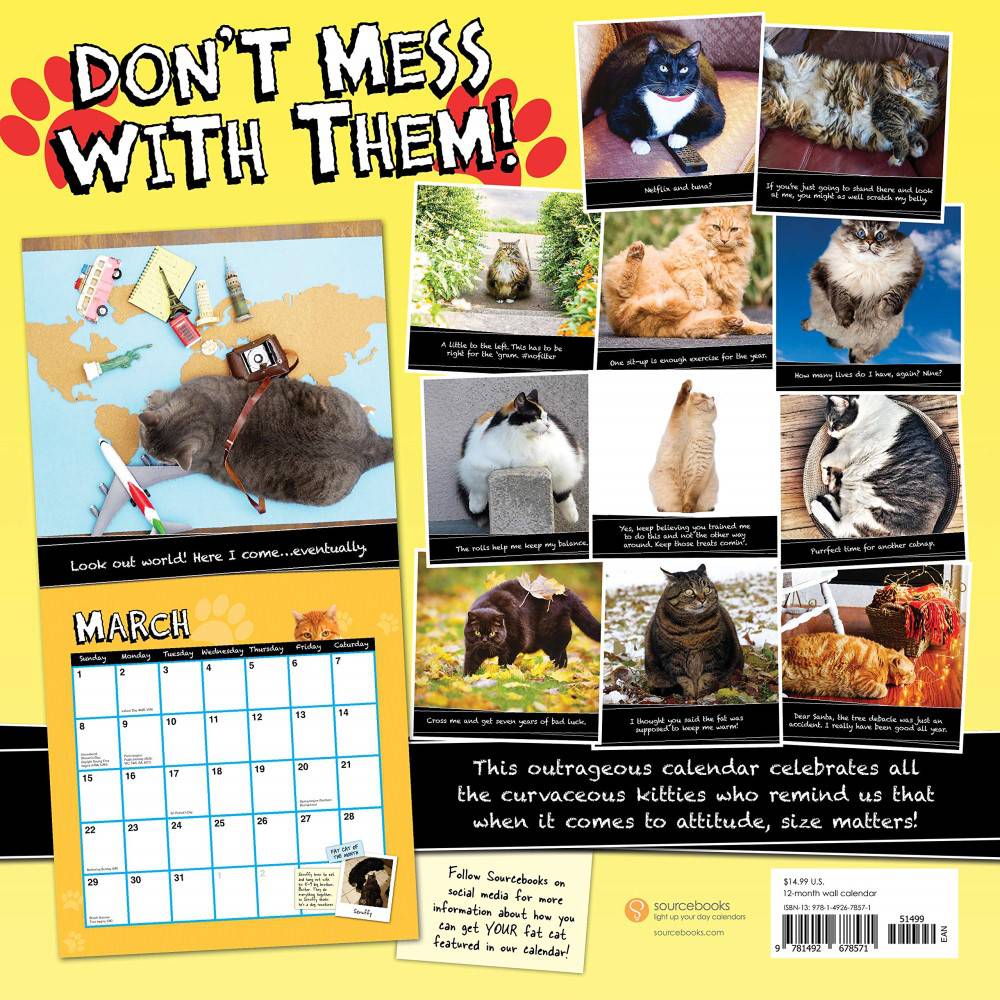 Fat Cats - 2020 Wall Calendar, Big Cats. Big Cattitude. by Sourcebooks ...
