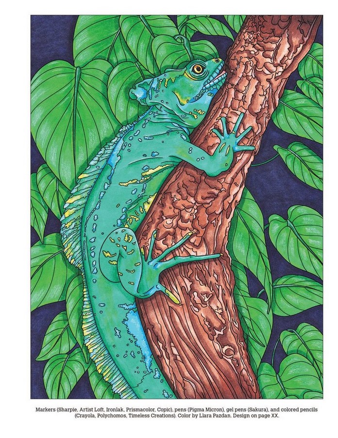 Hidden Animals - Adult Coloring Book, Discover Your Favorite Animals ...