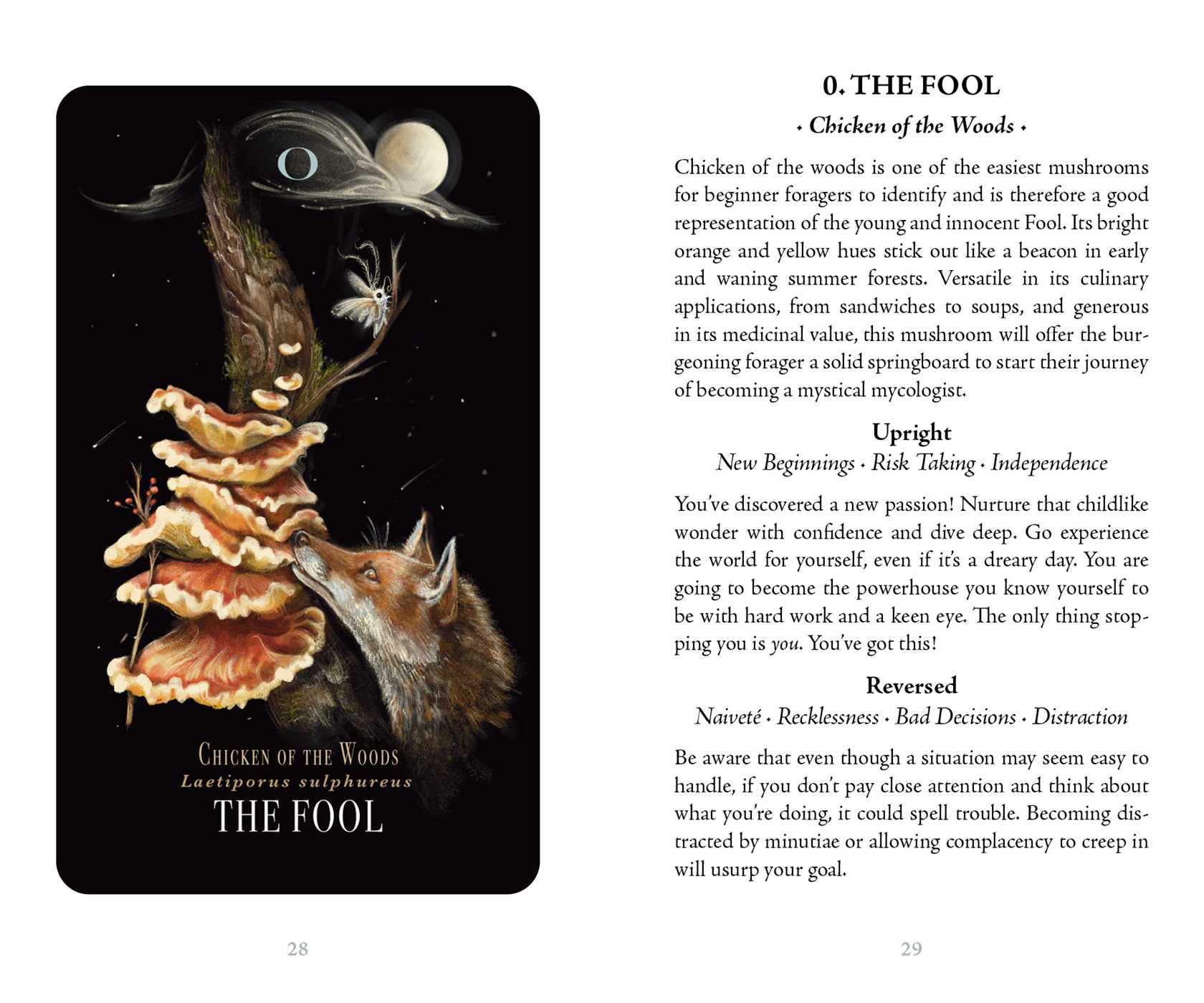 Midnight Magic, A Tarot Deck of Mushrooms by Sara Richard ...