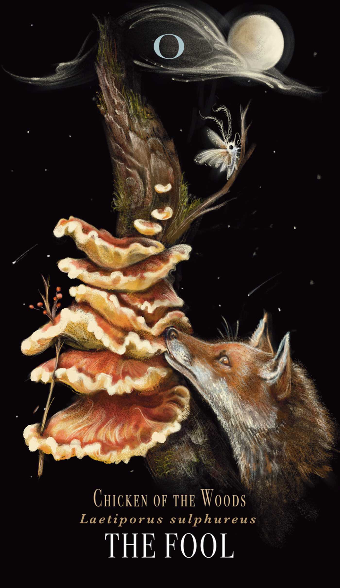 Midnight Magic, A Tarot Deck of Mushrooms by Sara Richard ...