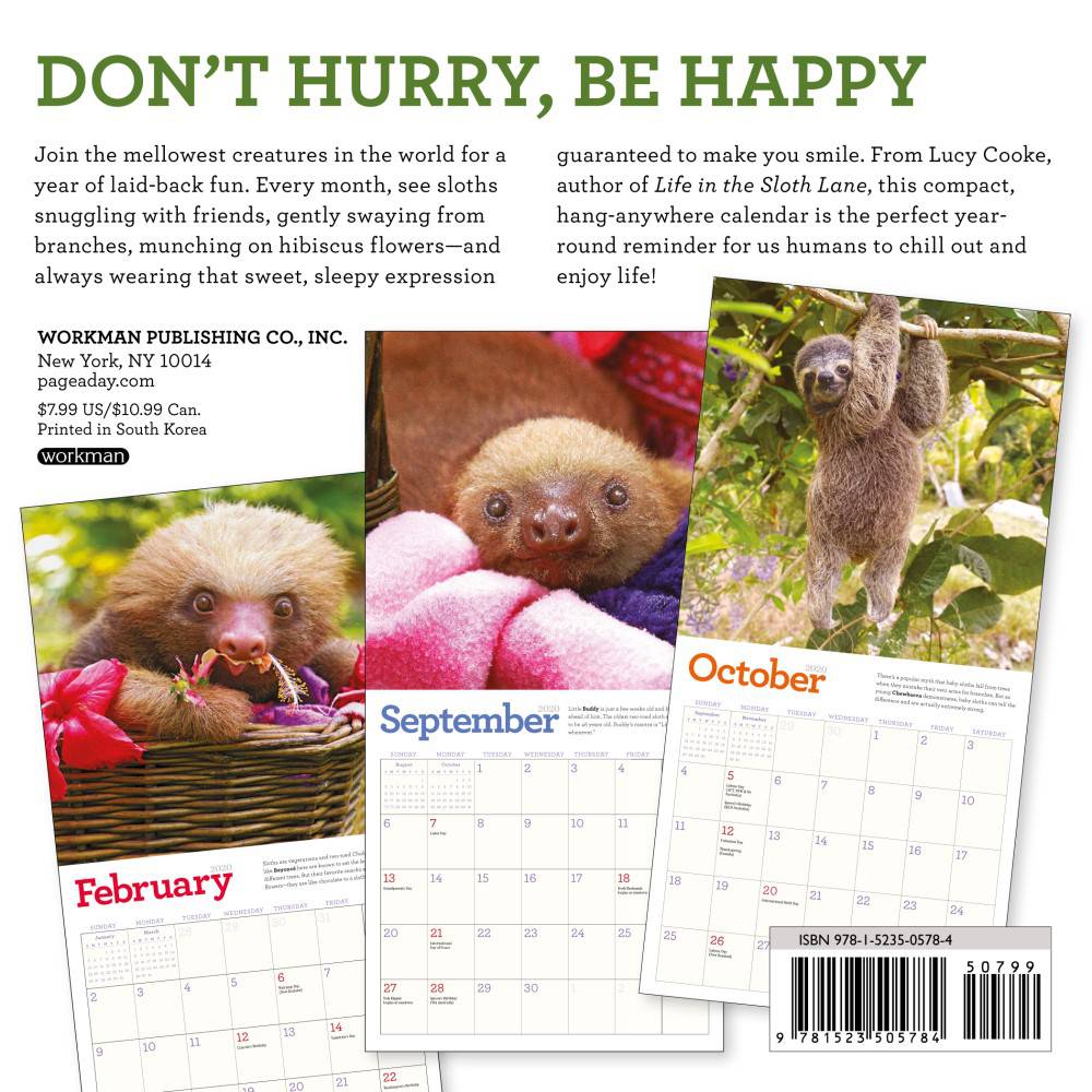 The Original : Sloths - 2020 Mini Wall Calendar by Lucy Cooke ...