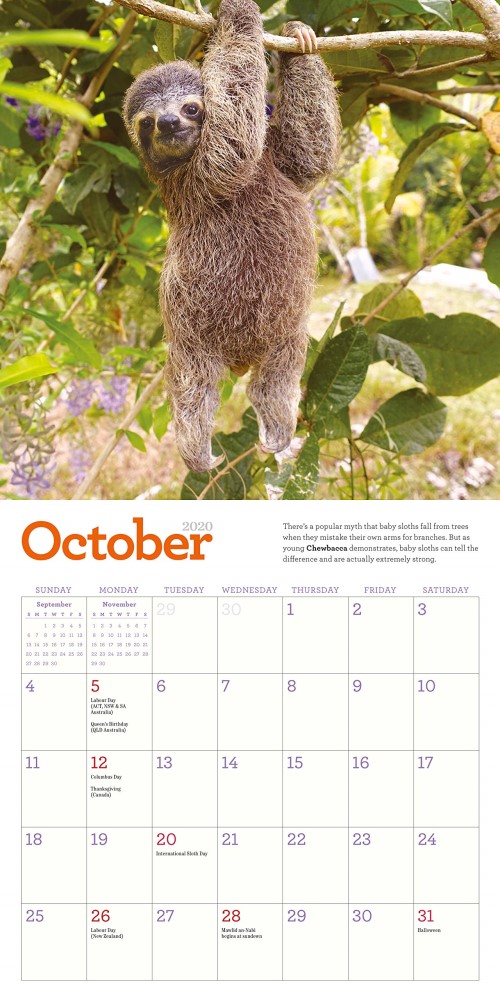The Original : Sloths - 2020 Mini Wall Calendar by Lucy Cooke ...