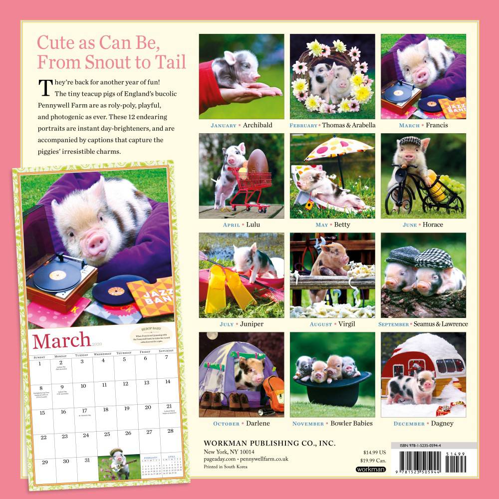 Pocket Pigs - 2020 Wall Calendar by Richard Austin | 9781523505944 ...