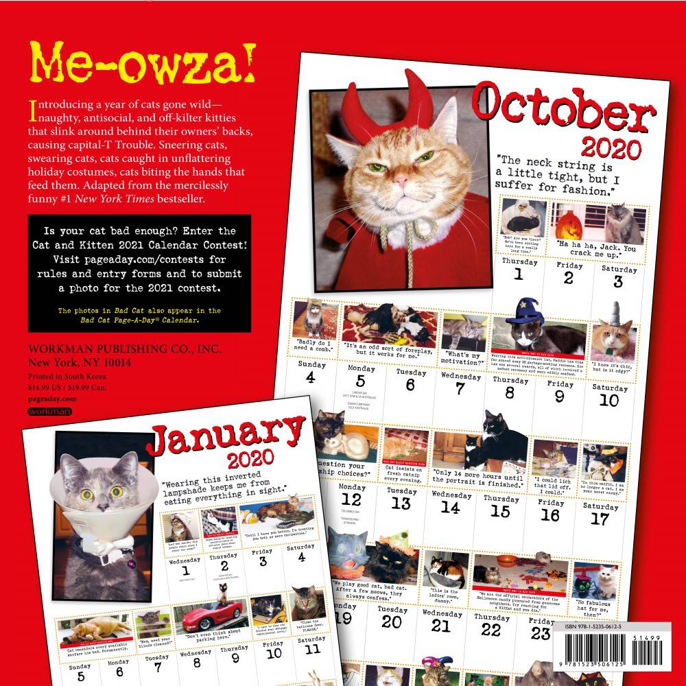 2020 Bad Cat Wall Calendar by Workman Calendars | 9781523506125 | Booktopia