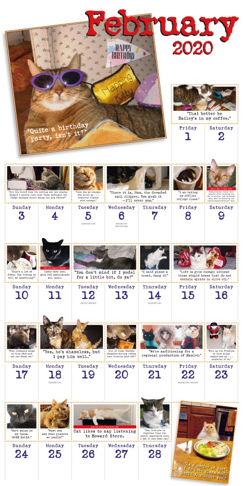 2020 Bad Cat Wall Calendar by Workman Calendars | 9781523506125 | Booktopia