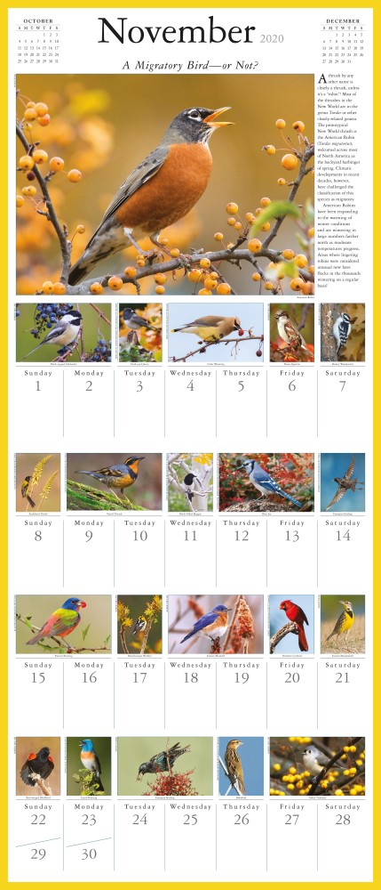 2020 Audubon Songbirds and Other Backyard Birds Picture-A-Day Calendar ...