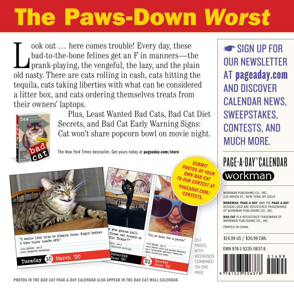 Bad Cat - 2020 Colour Page-A-Day Desk Calendar by Workman Calendars ...