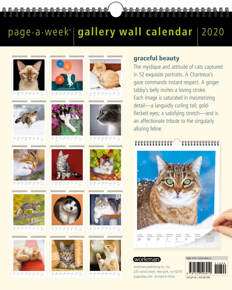 Cat Page-A-Week Gallery Wall Calendar 2020 by Workman Calendars ...