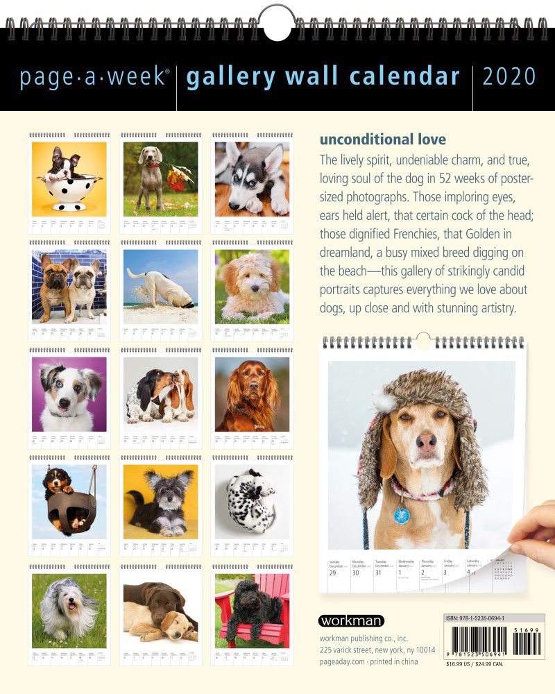Dog Page-A-Week Gallery - 2020 Wall Calendar by Workman Calendars ...