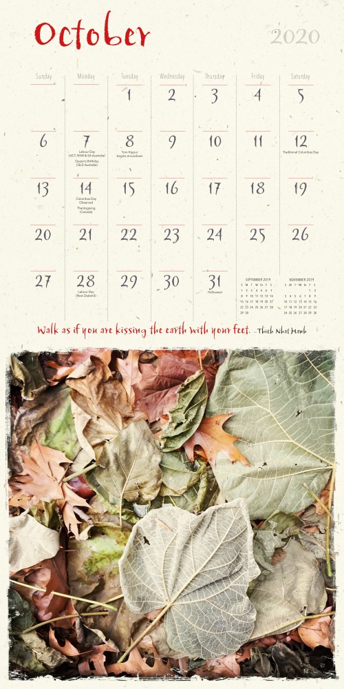 2020 ZEN Wall Calendar by David Schiller | 9781523507030 | Booktopia