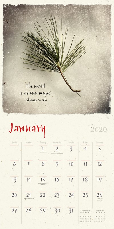 2020 ZEN Wall Calendar by David Schiller | 9781523507030 | Booktopia