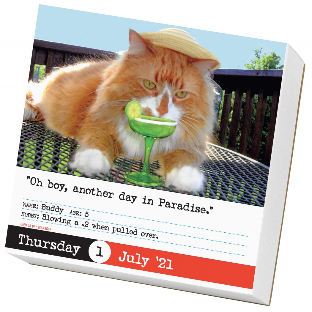Bad Cat® - 2021 Daily Desk Calendar, 365 Cats Gone Bad by Workman ...