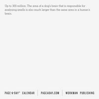 365 Days of Amazing Trivia! - 2021 Daily Desk Calendar, Page-A-Day ...