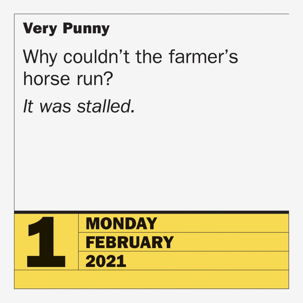 290 Bad Jokes + 75 Punderful Puns - 2021 Daily Desk Calendar, Page-A ...