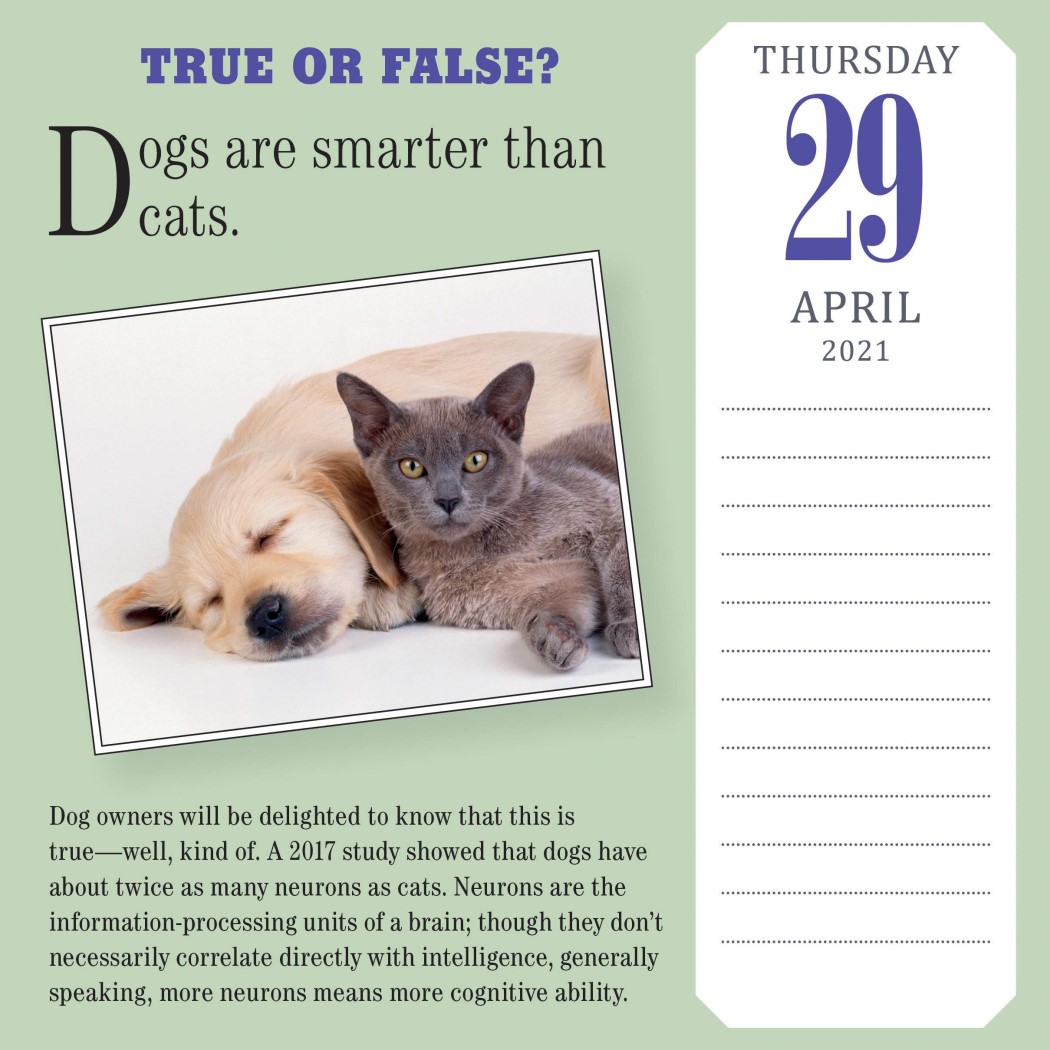 A Year of Dog Trivia - 2021 Daily Desk Calendar, Page-A-Day Desk ...