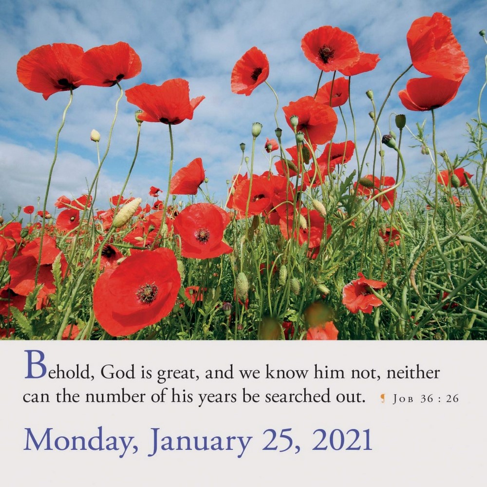 365 Bible Verses-A-Year - 2021 Daily Desk Calendar, Page-A-Day Calendar ...