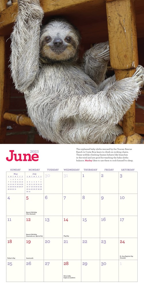 The Original Sloths - 2023 Mini Wall Calendar by Lucy Cooke ...