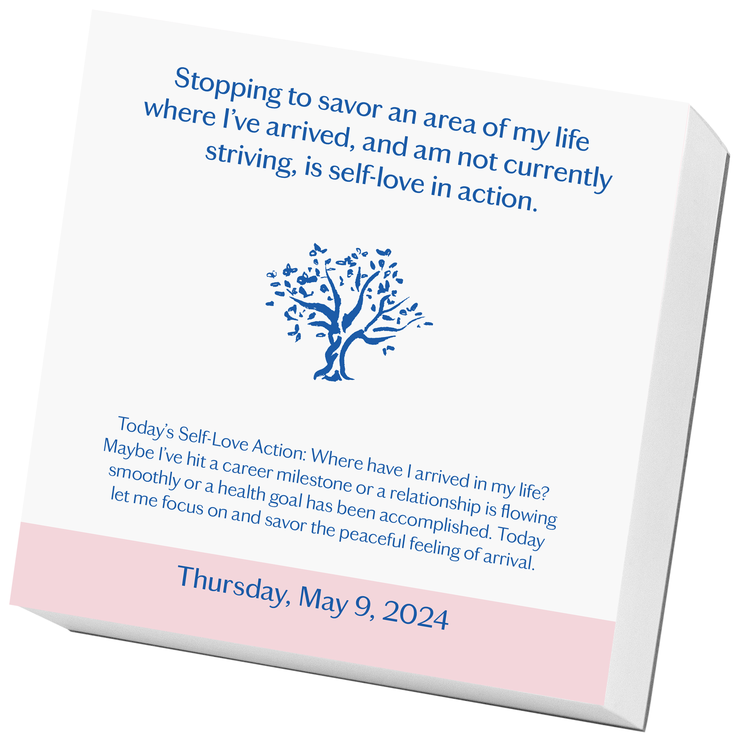 A Year of Self-Love Page-A-Day Calendar 2024, Daily Affirmations and ...