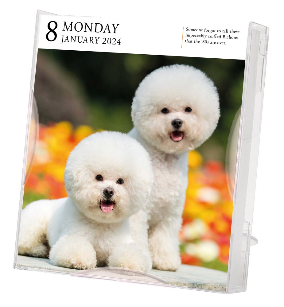 Dog - Page-A-Day Gallery - 2024 Daily Desk Calendar , An Elegant Canine ...