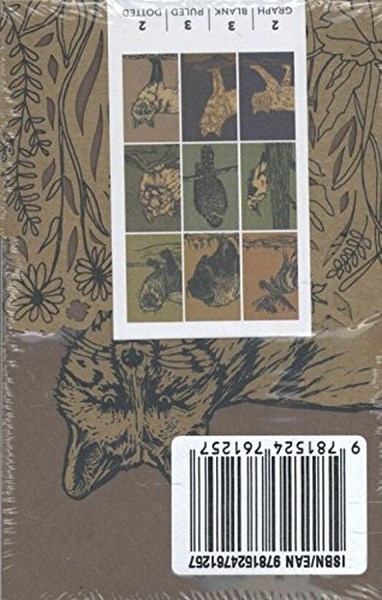 Woodland Creatures, A 10 Notebook Set by Kathryn Hunter | 9781524761257 ...