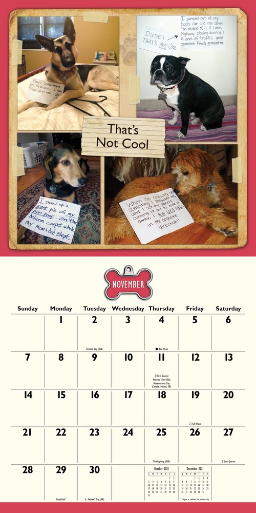 Dog Shaming - 2021 Wall Calendar by Pascale Lemire | 9781524857158 ...