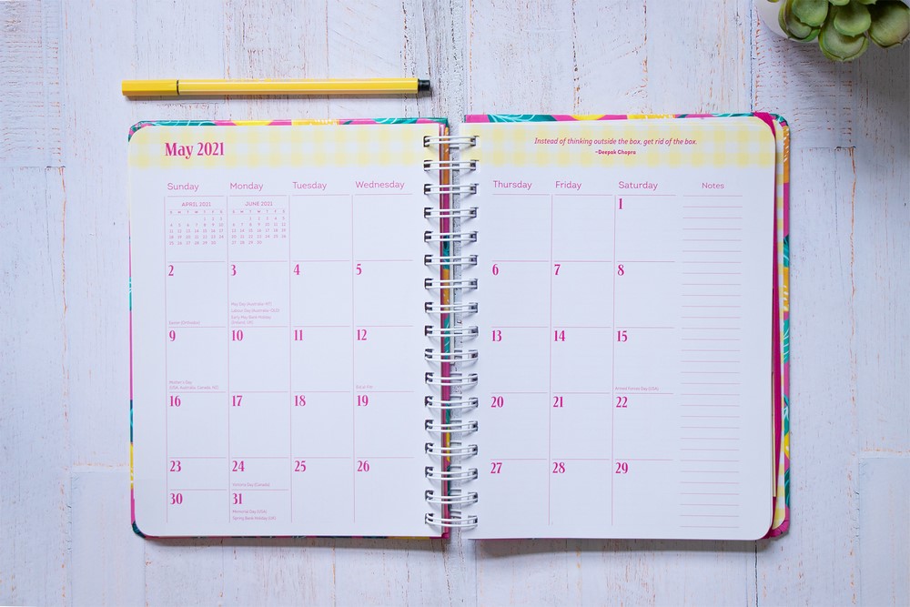 Posh: Deluxe Organizer 17-Month 2020-2021 Monthly/Weekly Planner ...