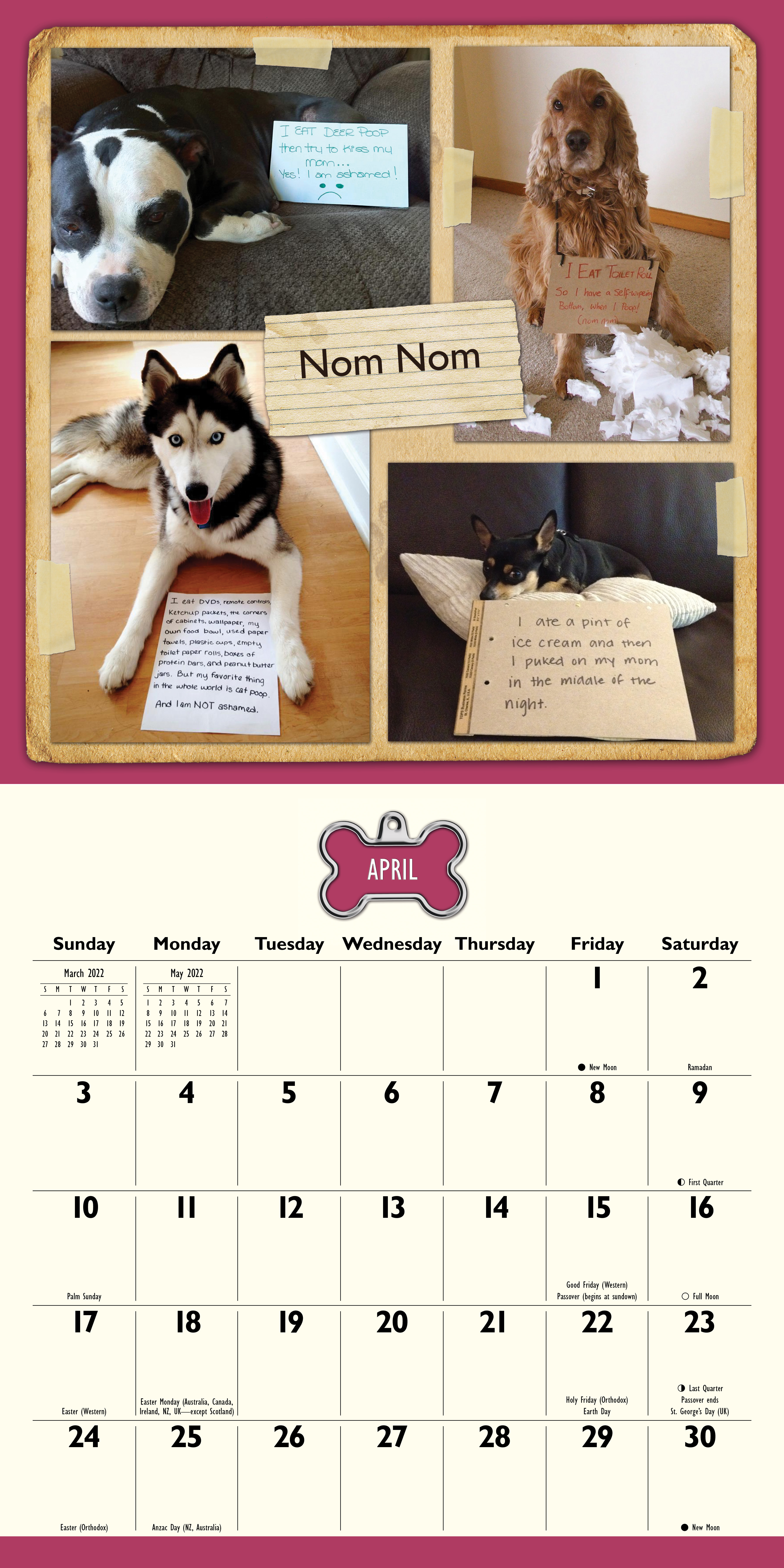 Dog Shaming - 2022 Wall Calendar by Pascale Lemire | 9781524863593 ...