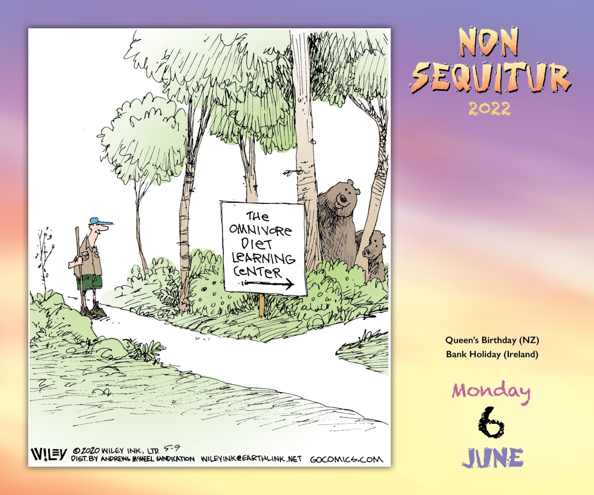 Non Sequitur - 2022 Desk Calendar by Andrews McMeel Publishing | 9781524863753 | Booktopia