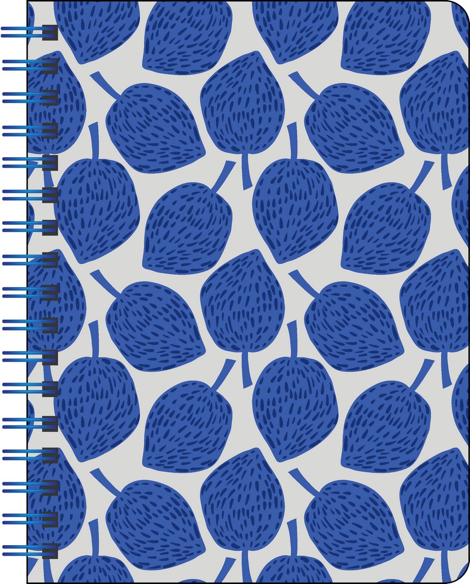 Posh: Deluxe Organizer - 17-Month 2021-2022 Monthly/Weekly Diary, Blue ...