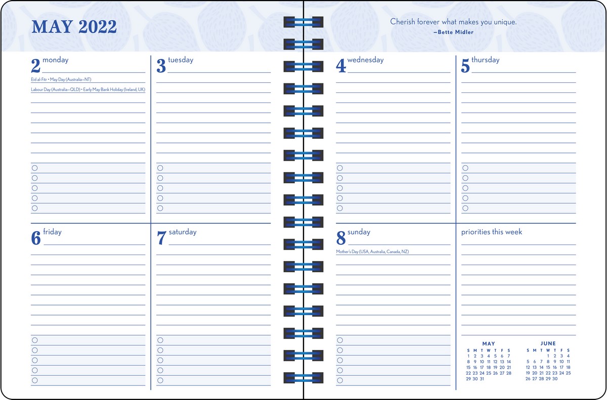 Posh: Deluxe Organizer - 17-Month 2021-2022 Monthly/Weekly Diary, Blue ...