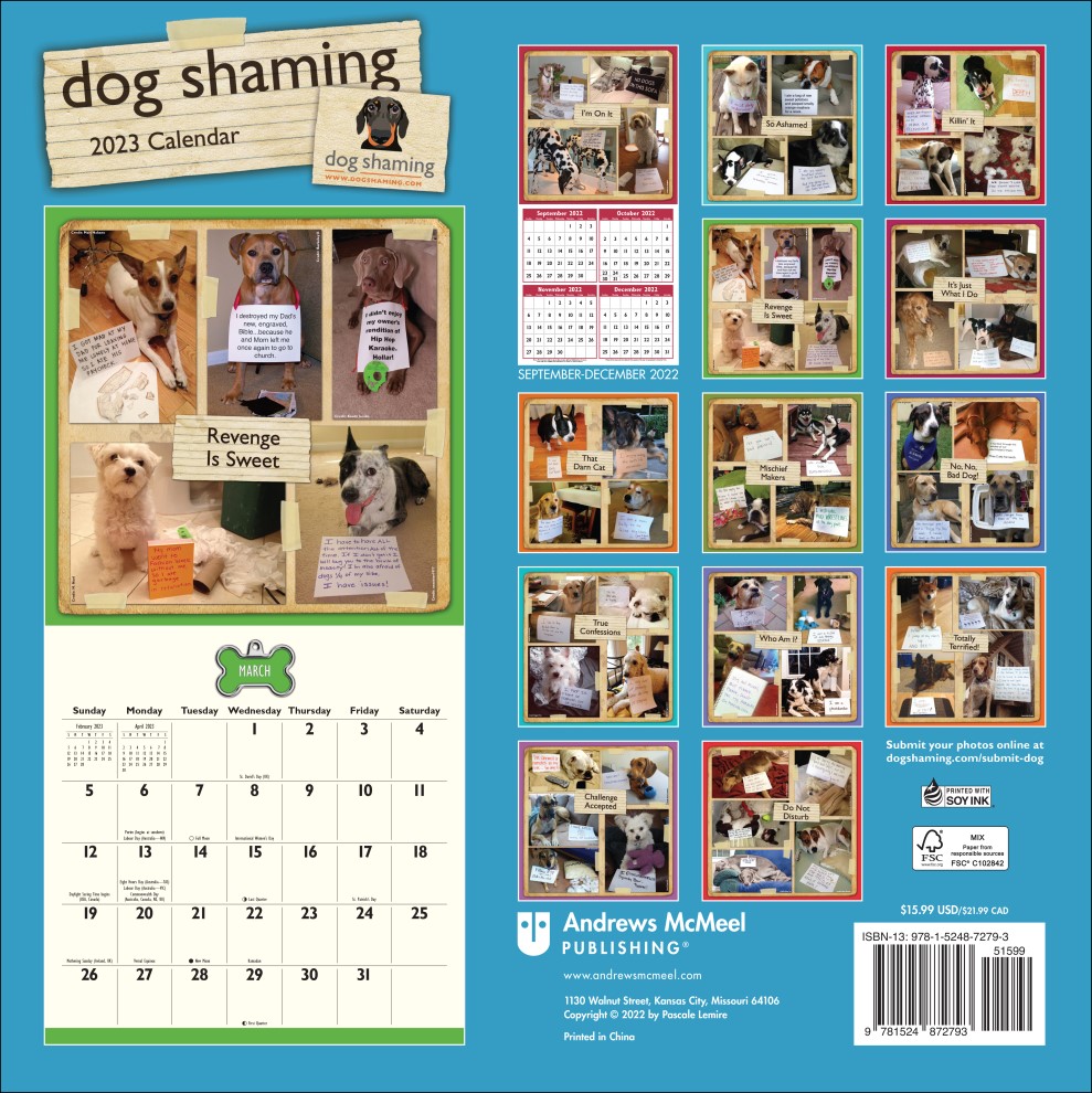 Dog Shaming 2023 Wall Calendar by Pascale Lemire | 9781524872793 ...