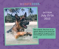 WeRateDogs 2023 - Daily Desk Calendar by Matt Nelson | 9781524873134 ...