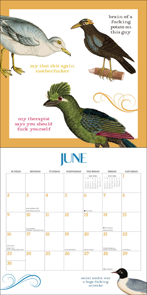 Effin' Birds 2024 Wall Calendar by Aaron Reynolds | 9781524880163 ...