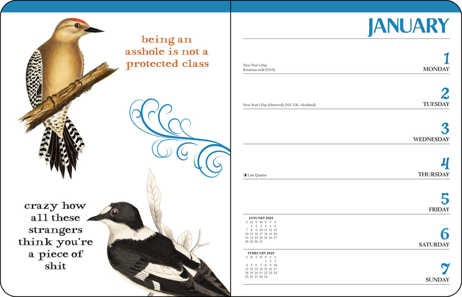 Effin' Birds - 2024 Monthly/Weekly Planner (Desk Diary) by Andrews ...