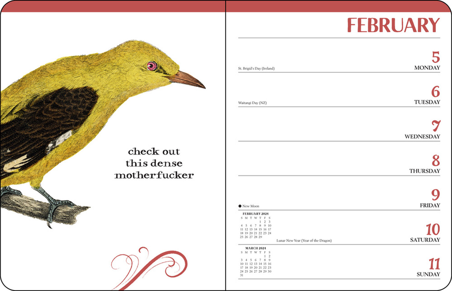 Effin' Birds - 2024 Monthly/Weekly Planner (Desk Diary) by Andrews McMeel Publishing ...