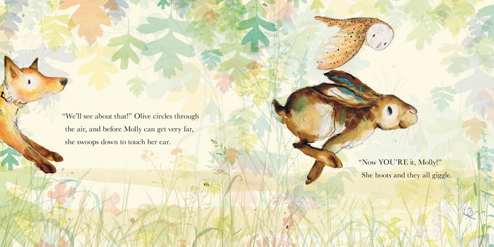 Molly, Olive and Dexter, You Can't Catch Me! by Catherine Rayner ...