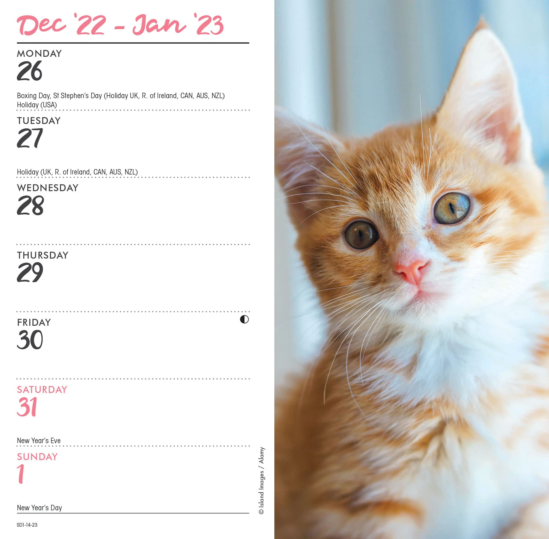 Kittens - 2023 Slim Diary by Carousel Calendars | 9781529827200 | Booktopia