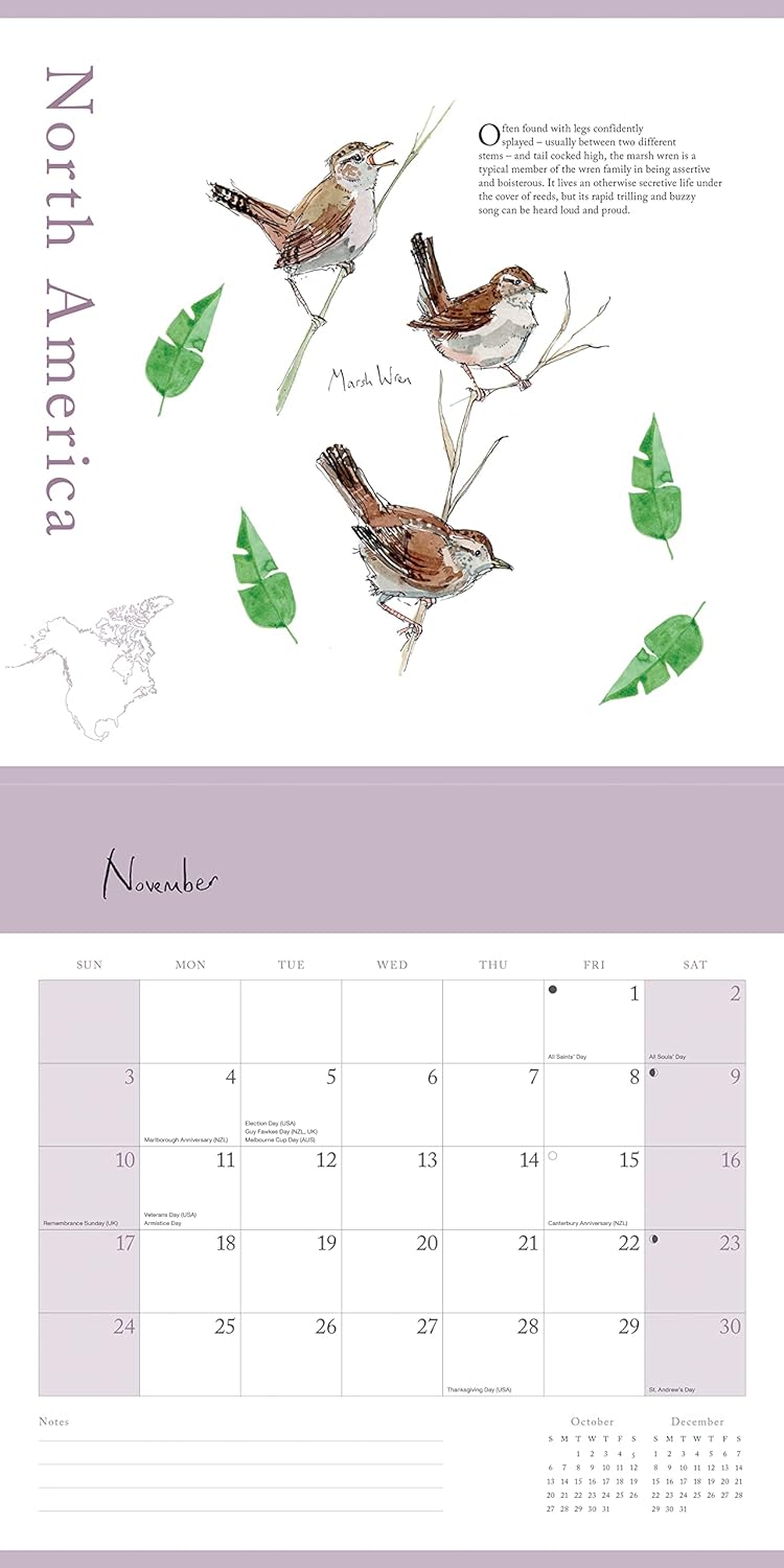 Madeleine Floyd: Birds of the World - 2024 Wall Calendar by Carousel ...