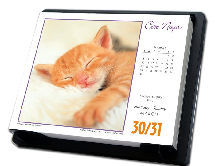 Cat Naps 2019 Boxed Daily Calendar, 2019 Day-To-Day Calendar by Inc ...