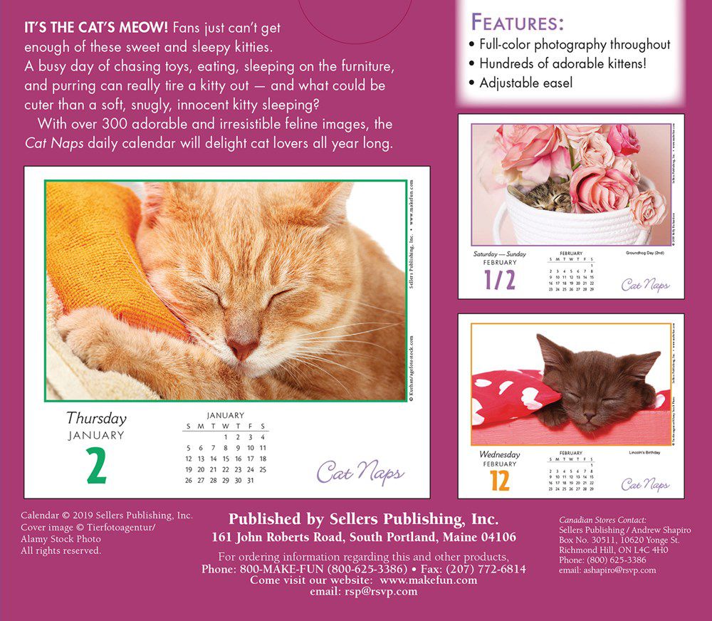 Cat Naps - 2020 Daily Desk Calendar by Sellers Publishing ...