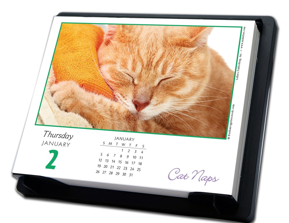 Cat Naps - 2020 Daily Desk Calendar by Sellers Publishing ...