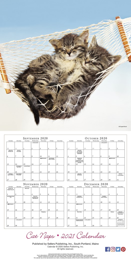 Cat Naps - 2021 Wall Calendar by Inc Sellers Publishing | 9781531909932 ...