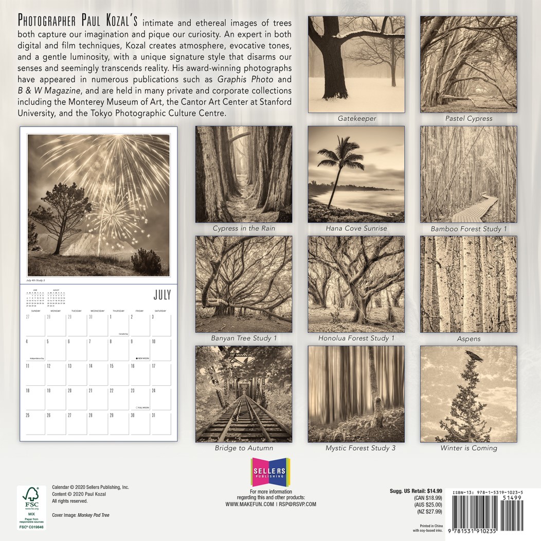 The Nature of Trees - Wall Calendar 2021 by Paul Kozal | 9781531910235 ...