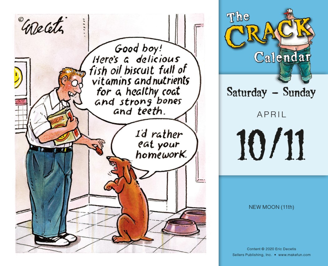 The Crack - 2021 Daily Desk Calendar by Eric Decetis | 9781531910884 ...