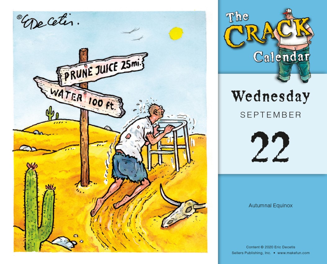 The Crack - 2021 Daily Desk Calendar by Eric Decetis | 9781531910884 ...