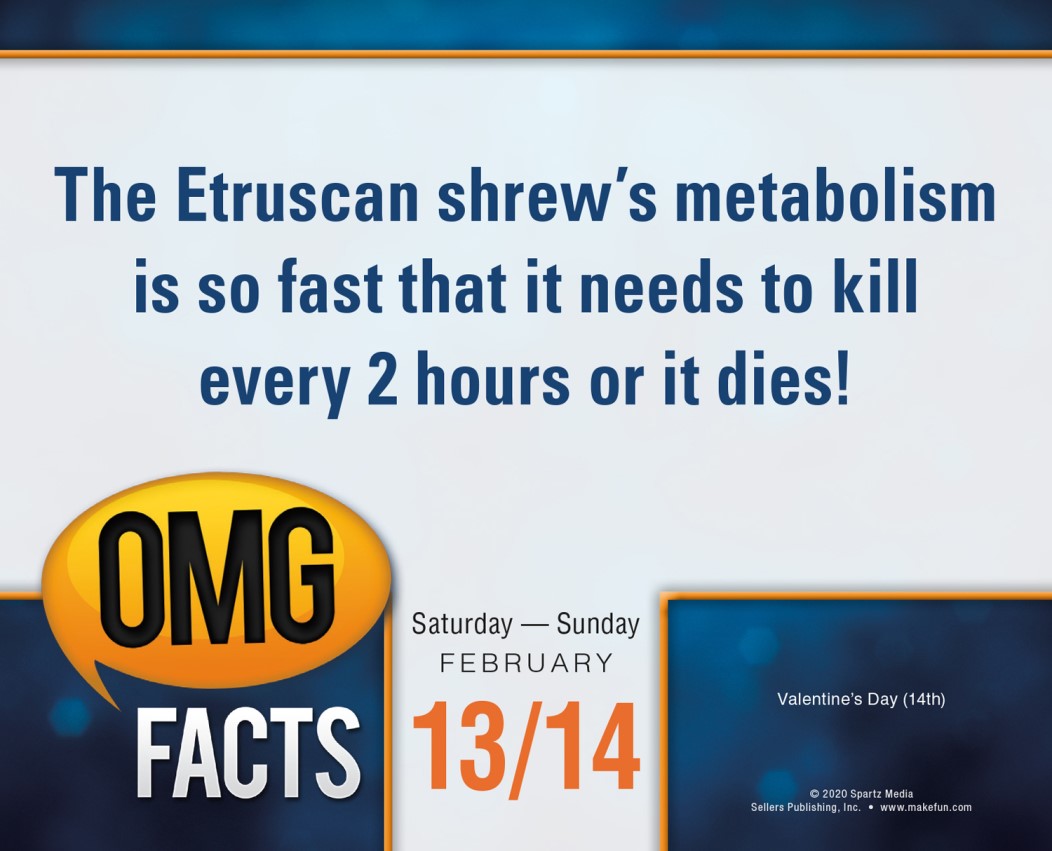 Omg Facts - 2021 Daily Desk Calendar by Spartz Media | 9781531911034 ...