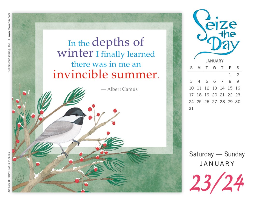 Seize the Day and Make it Yours - 2021 Daily Desk Calendar , Celebrate ...