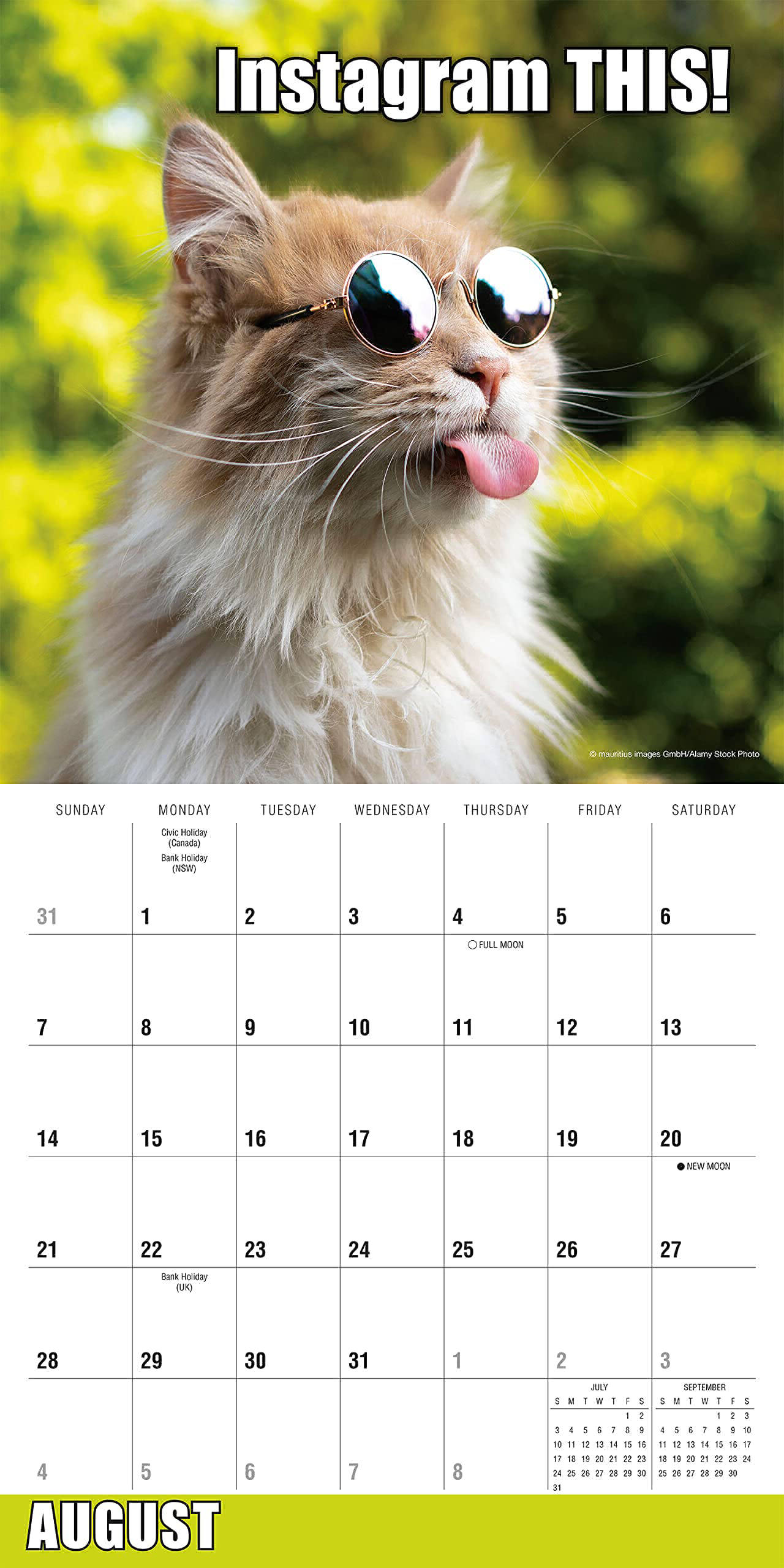 Meow Memes - 2022 Wall Calendar, Cat Wall Calendar by Sellers ...